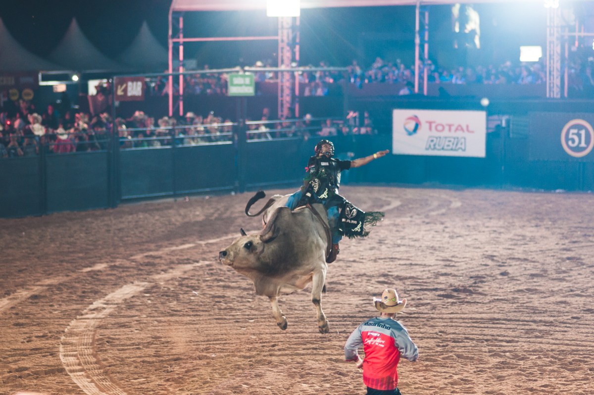 Conheça as competições da 31ª edição do Jaguariúna Rodeo Festival – Eu ...